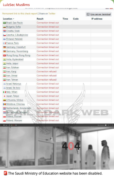 Lulzsec Muslims Group Targets Saudi Ministries, Launching DDoS Attacks ...